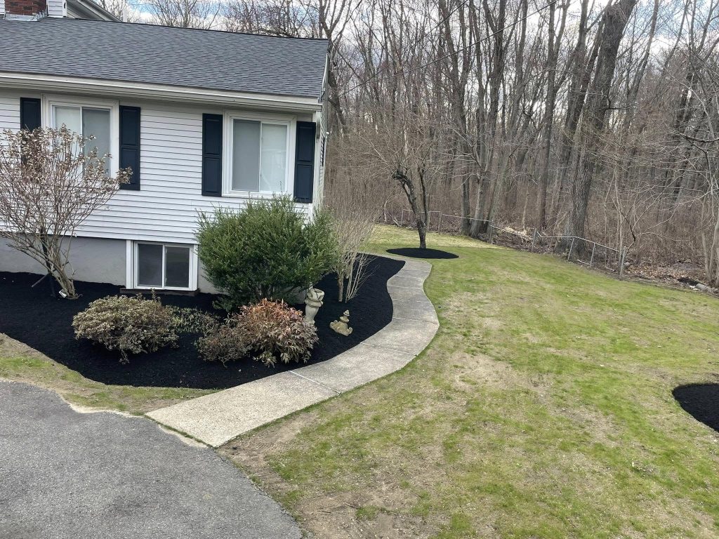 3 Tips For a Beautiful Landscape design with Trees