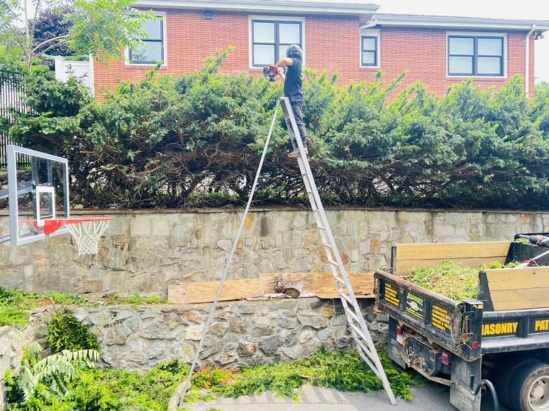 Tree Pruning for Overgrown Branches