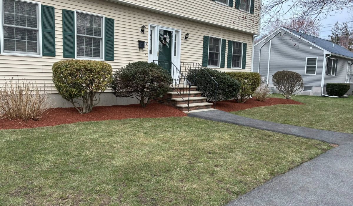 Best Time of Year to Trim Trees Seasonal Guide - Tree Removal Company ...